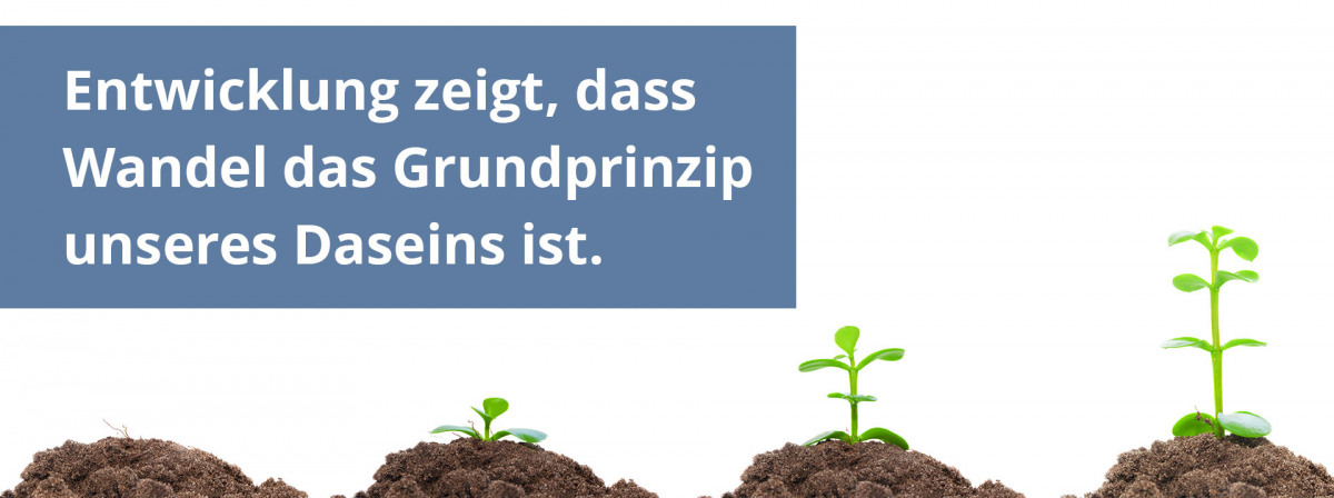 Die zehn Gebote der Entwicklung von Stefan Kerzel. Jetzt lesen!